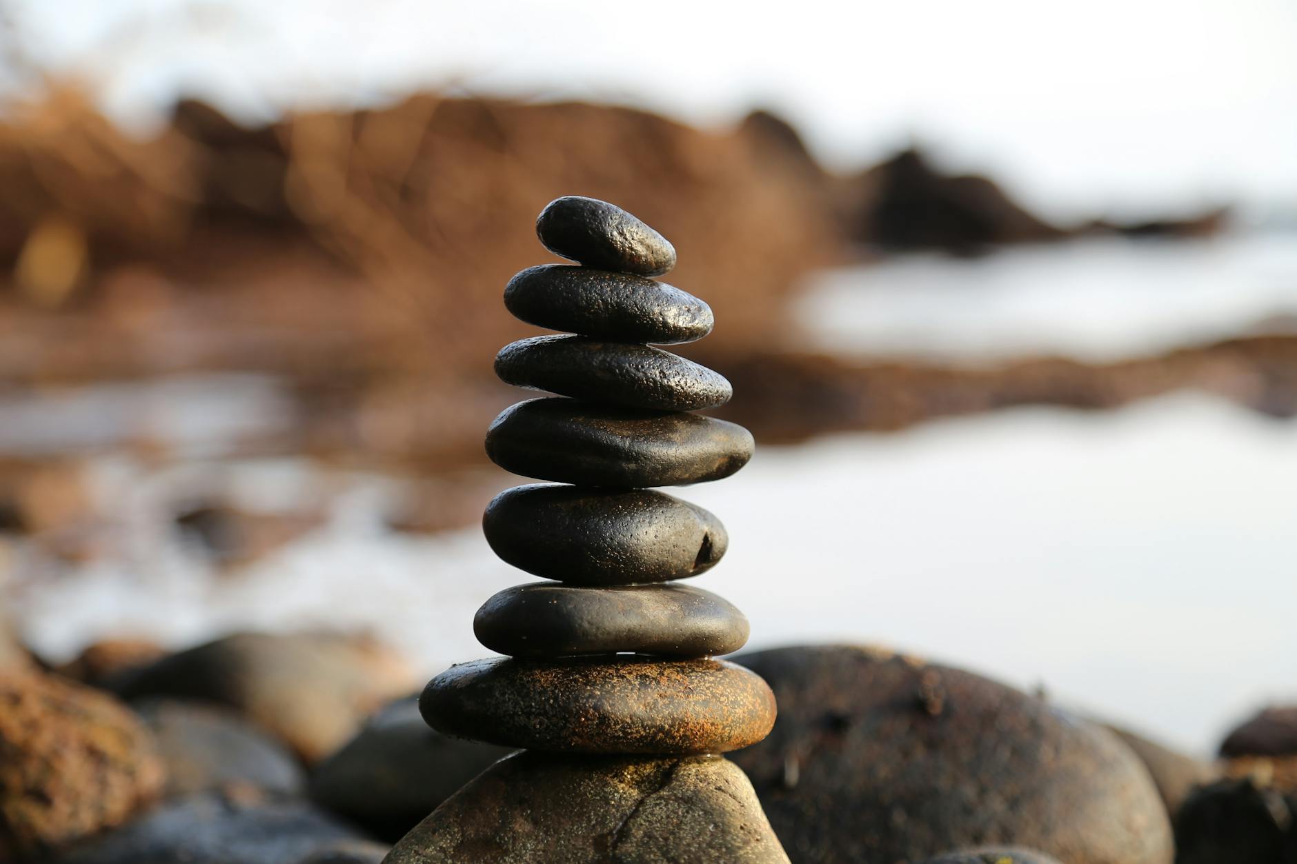 Balance - Arch Physical Therapy & Fitness